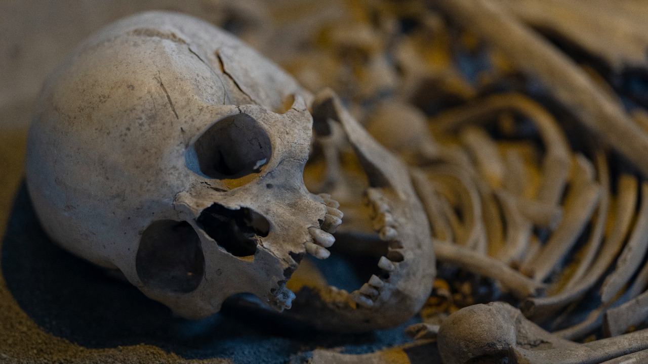 Scientists uncover 60,000-year-old find that rewrites human origin story