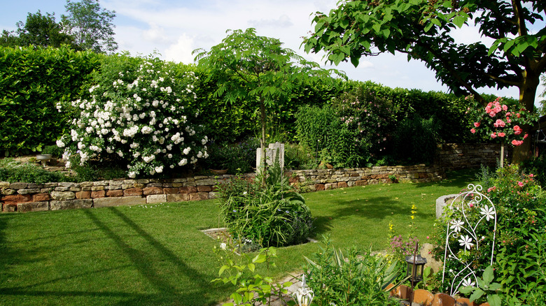 25 landscaping ideas that will create privacy in your backyard