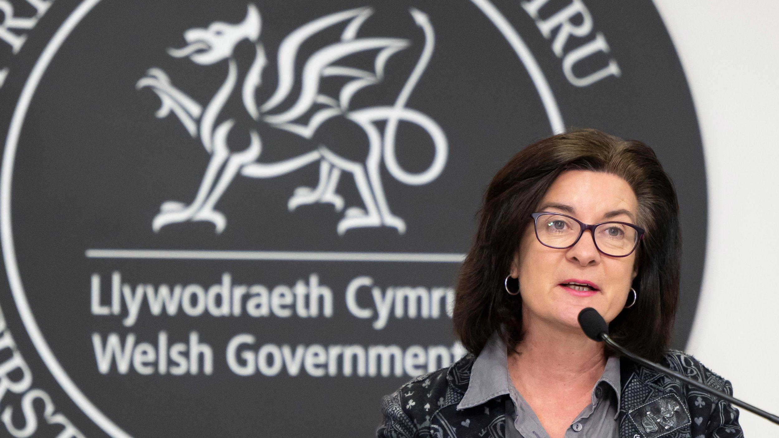 Horse massage firm warned after fake diplomas carried government logo