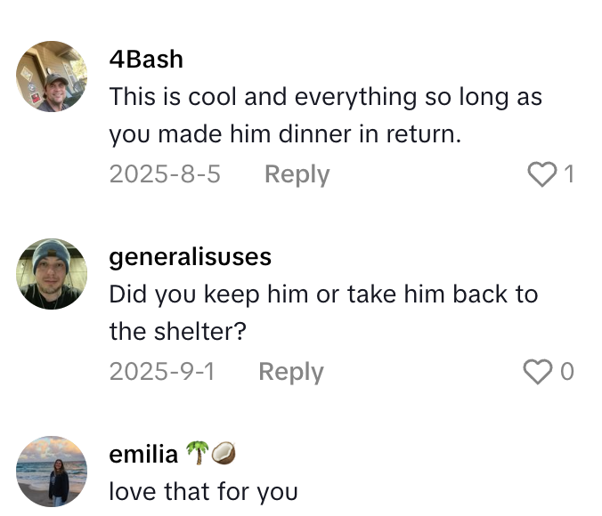 The 'Bob the Builder' fad on TikTok has women using dating apps to find ...