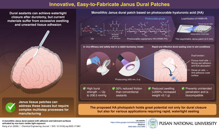 Light-activated tissue adhesive patch offers rapid, watertight ...