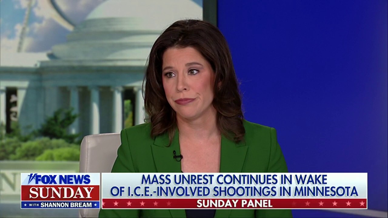 Mary Katharine Ham details 'political cost' of Trump's immigration policy