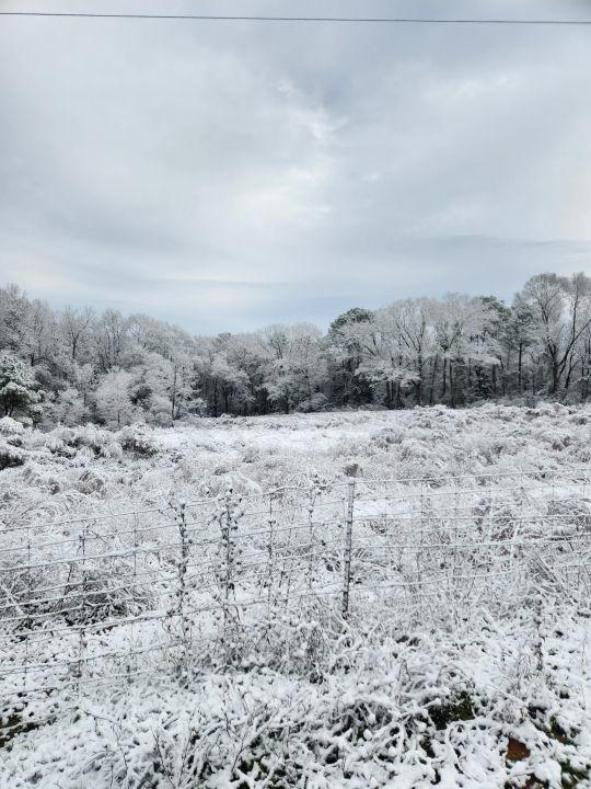 Photos: Snow in southeast Alabama