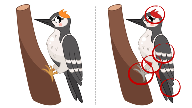 It takes less than 5 minutes: Why this simple spot the difference ...