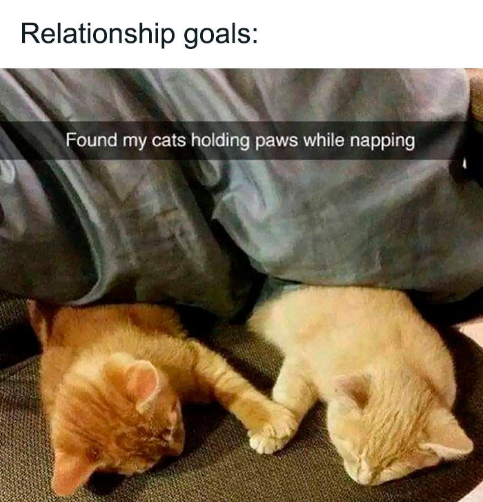 46 wholesome pics to heal your soul that are heckin’ awesome