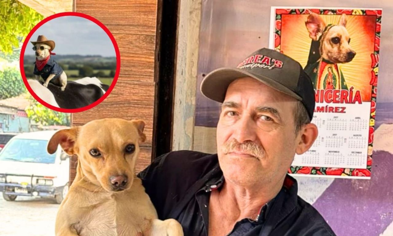 Él es Lobis, el perrito guadalupano que se volvió famoso y ahora vende ...