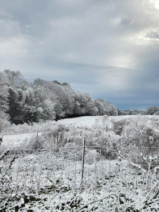 Photos: Snow in southeast Alabama