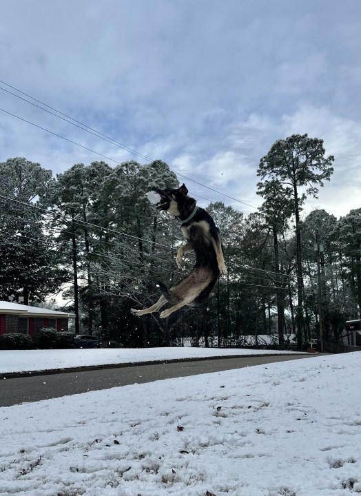 Photos: Snow in southeast Alabama