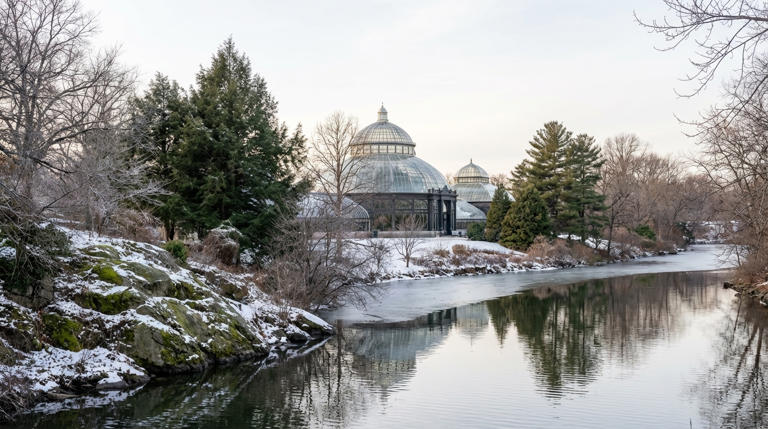 Ce jardin secret d’un arrondissement de New York pourrait changer à ...