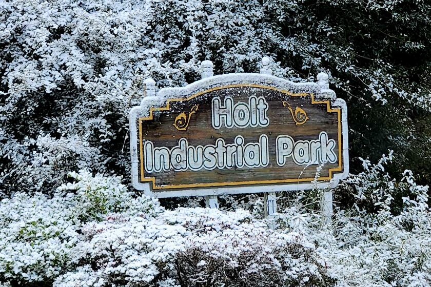 Snow falls on parts of Sunshine State for a second year in a row