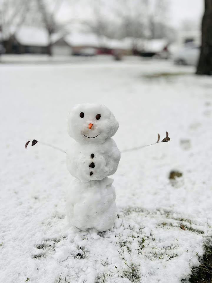 Louisiana did not get snow, but it did fall in other parts of the South