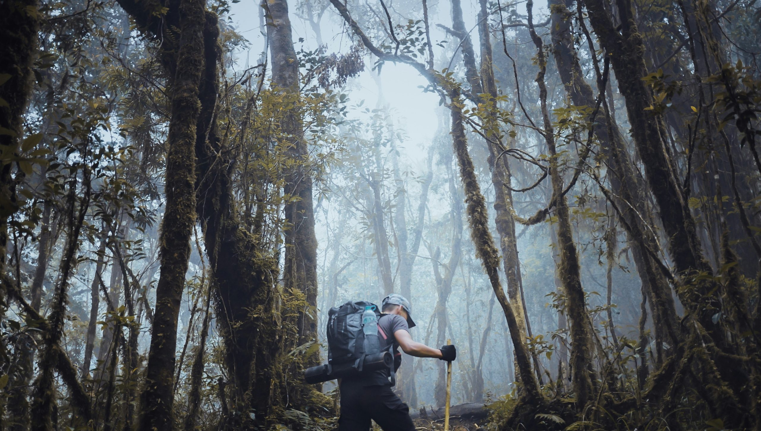 The 8 most dangerous survival myths that could get you killed