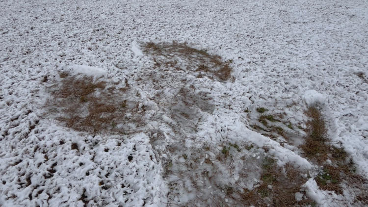 'We did what we came to do' | Floridians drive hundreds of miles to see ...