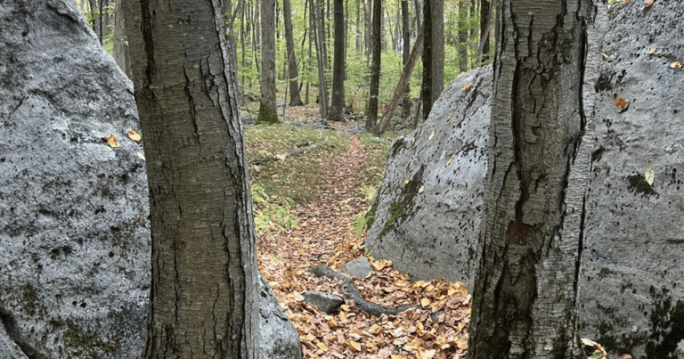 This might be the most demanding hike you can do in New Jersey