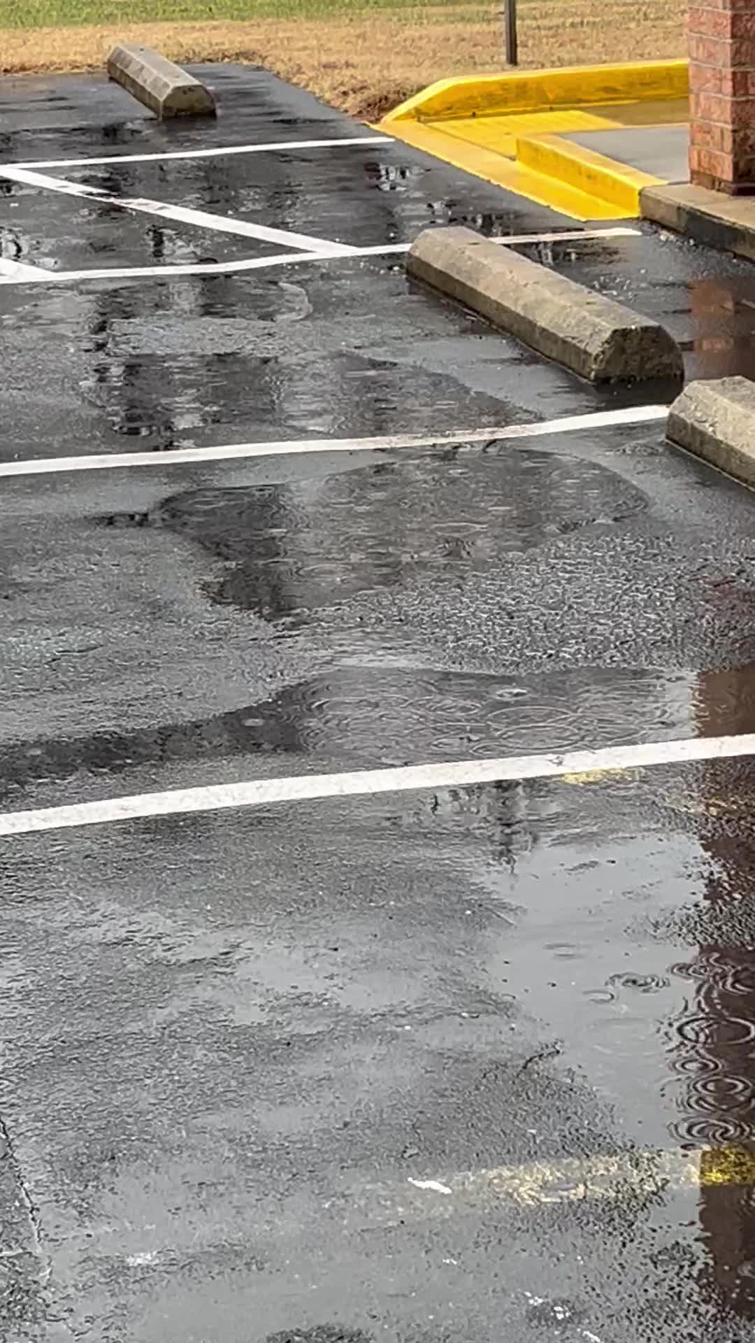 Snow in Winston-Salem