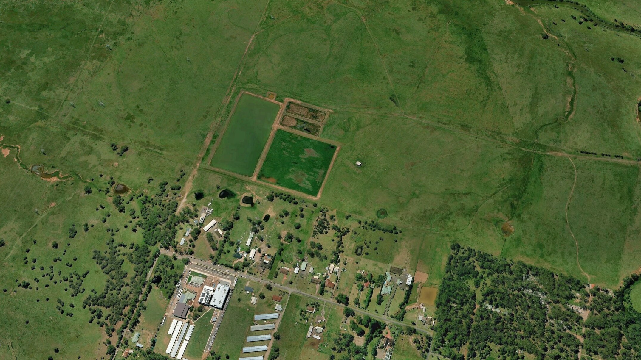 Conservationists alarmed by plan to remove rare bird habitat in Sydney ...