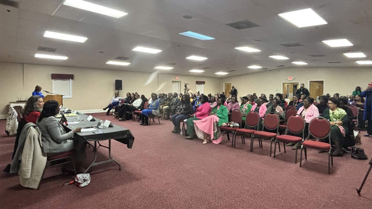 The dream in action: Summerville community joins for MLK Jr. education ...