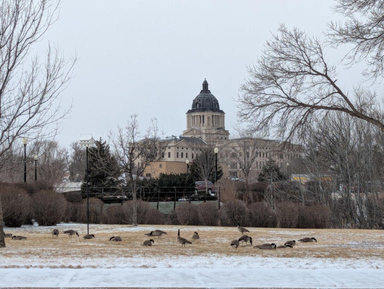 A look at the week ahead in our SD state government