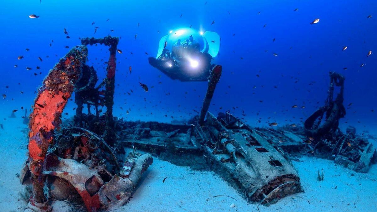 West Cork diver's remarkable discoveries with Ireland's second ...