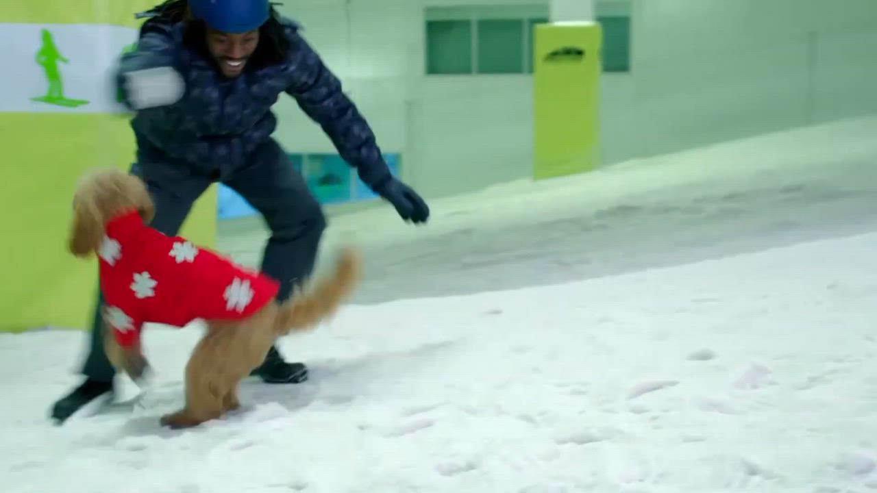 Meeting Waffle: Official trailer - Season 1