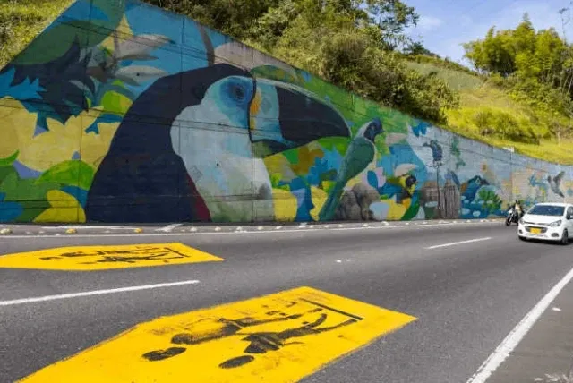 El entramado político tras posible retiro de peajes y reversión ...