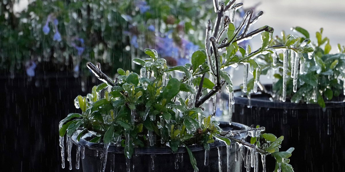 Snow blankets Florida Panhandle for a second year in a row