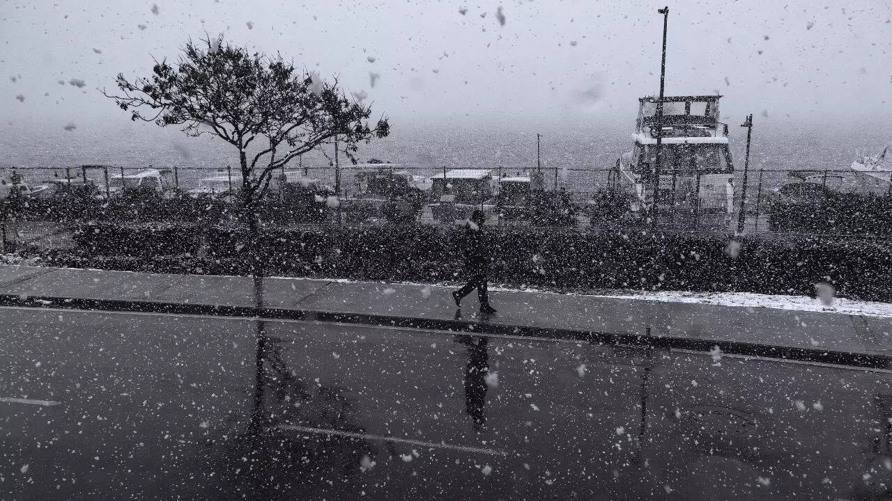 What's the weather today: IMD predicts rain, snow, fog and cold ...