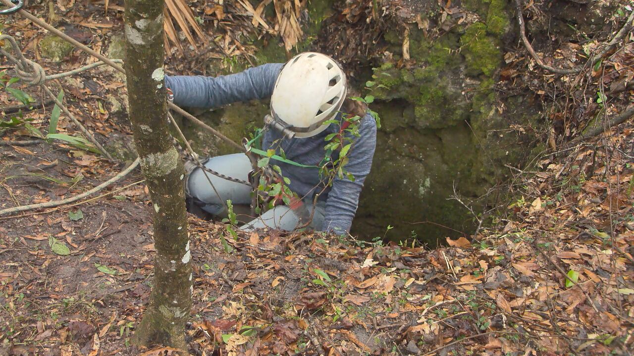 Cat still trapped: Divers continue rescue efforts