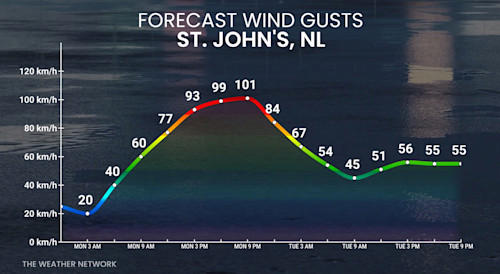 High-impact nor’easter to bring heavy snow and high winds