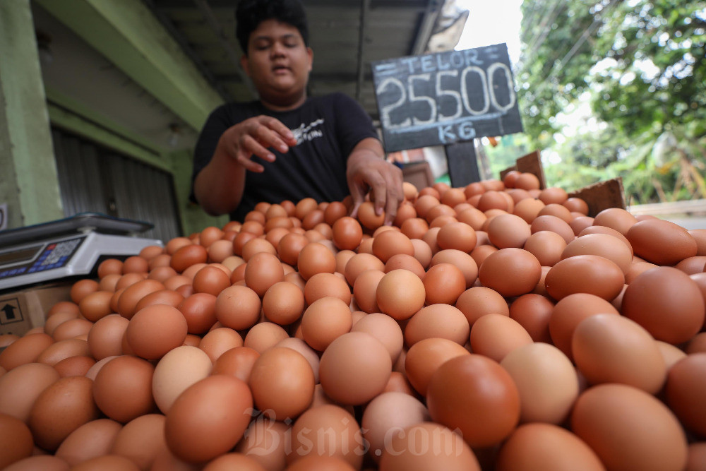 BPS catat harga telur naik di 42,5% wilayah Indonesia Januari 2026