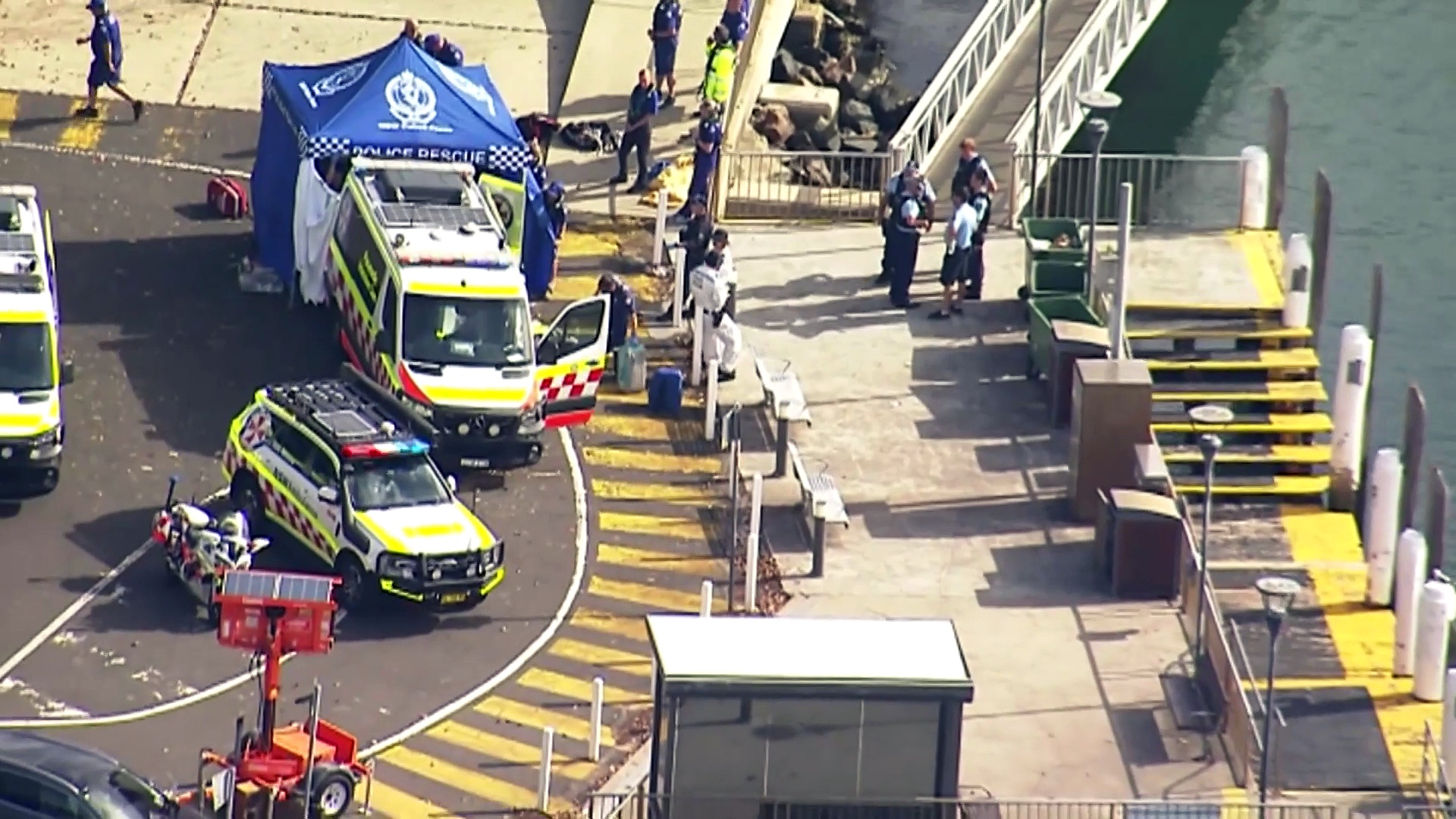 Boy in critical condition after being bitten by a shark in Sydney Harbour