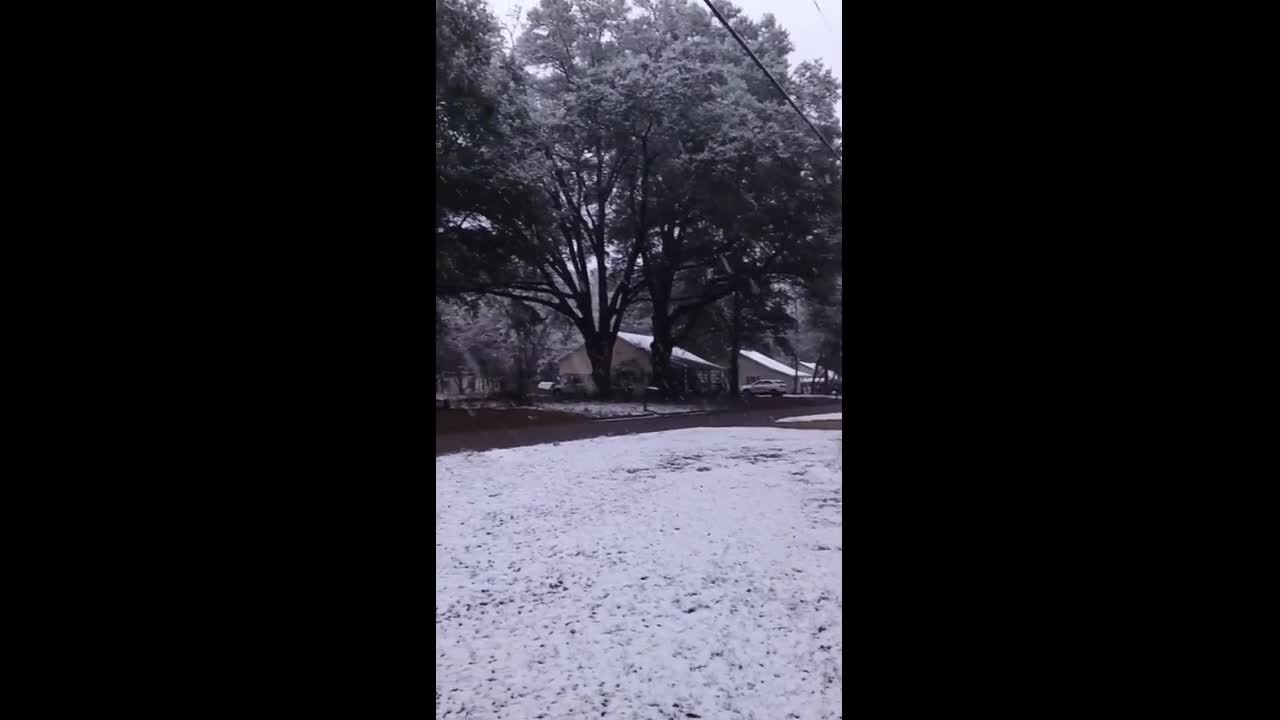 Snow blankets the area amid winter storm conditions in Geneva, Alabama, USA