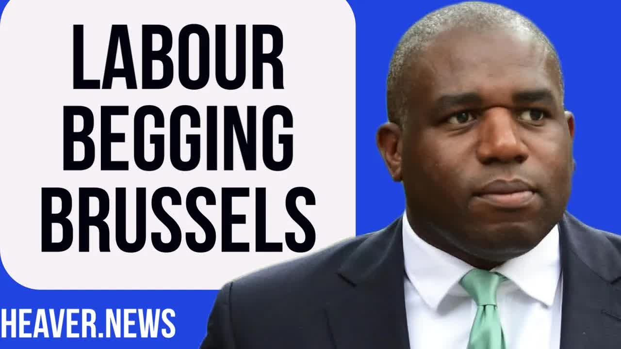 Labour's EU 'dating' plan exposed: Lammy's Brexit reversal agenda