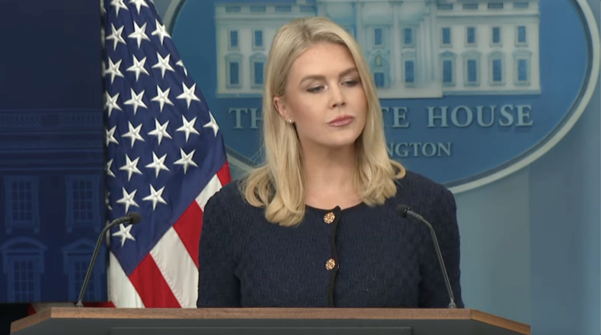 'The president called them out': Karoline Leavitt defends Trump's ...