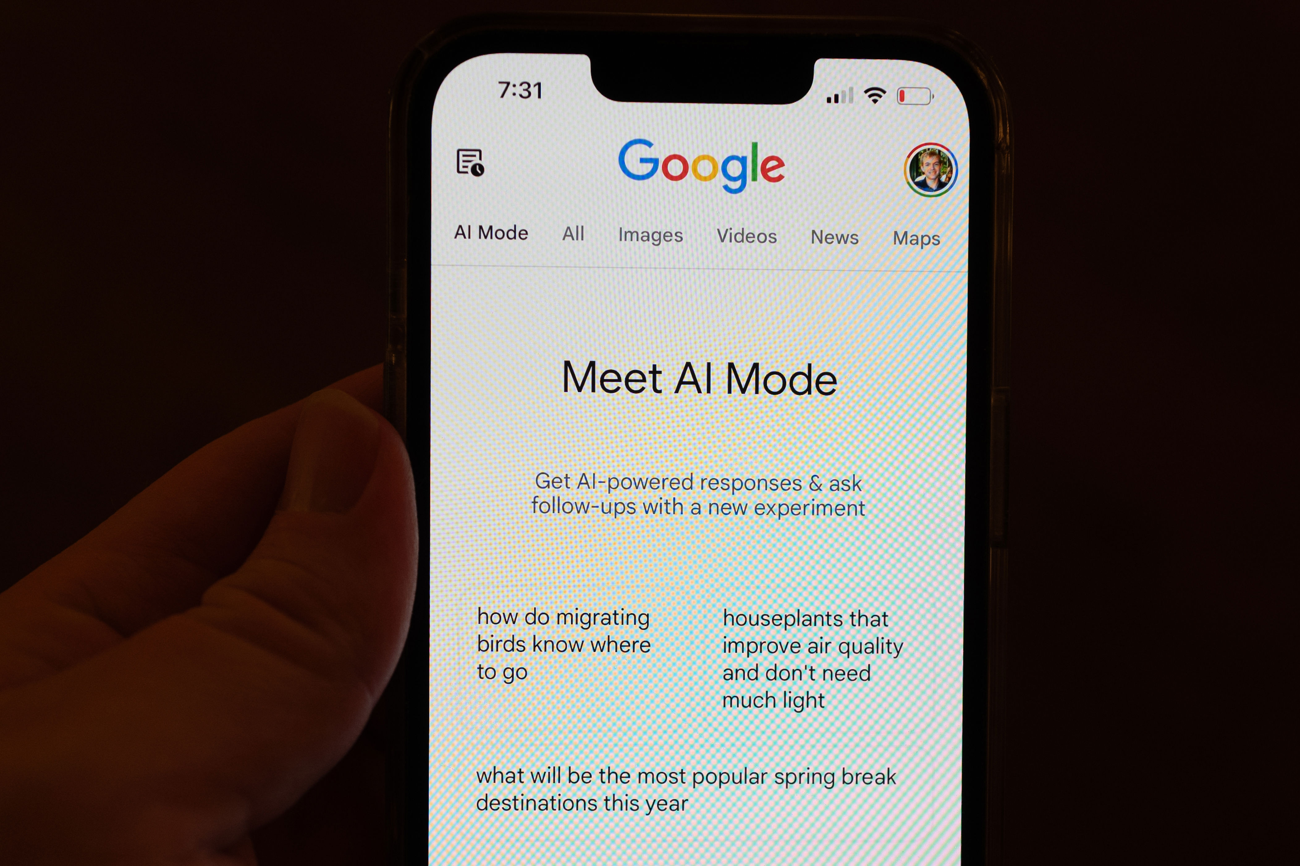 What is the Hannah Porter Gym Floor Goddess meme? Viral Lexington ...