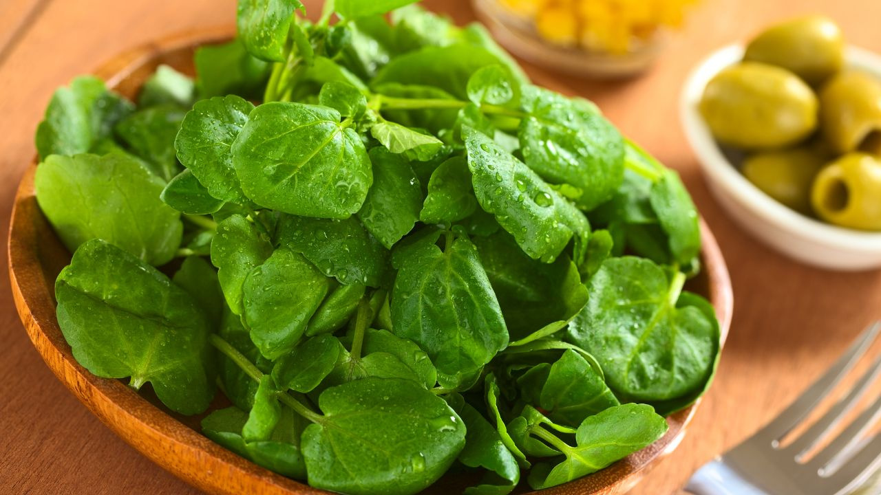 Segundo pesquisadores, só 100g deste vegetal garantem todas as ...