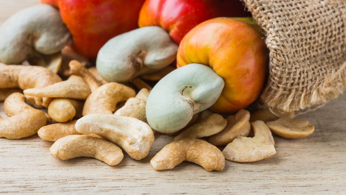 Which city is known as the cashew capital of the world?