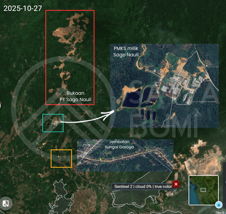 Indonesia sues 6 companies over alleged links to deadly floods & landslides