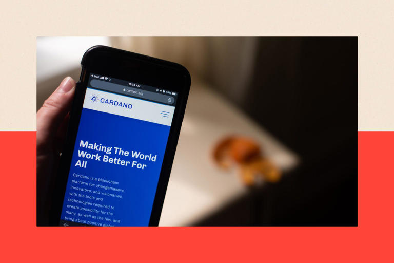 How crypto criminals stole $700 million from people - often using age ...