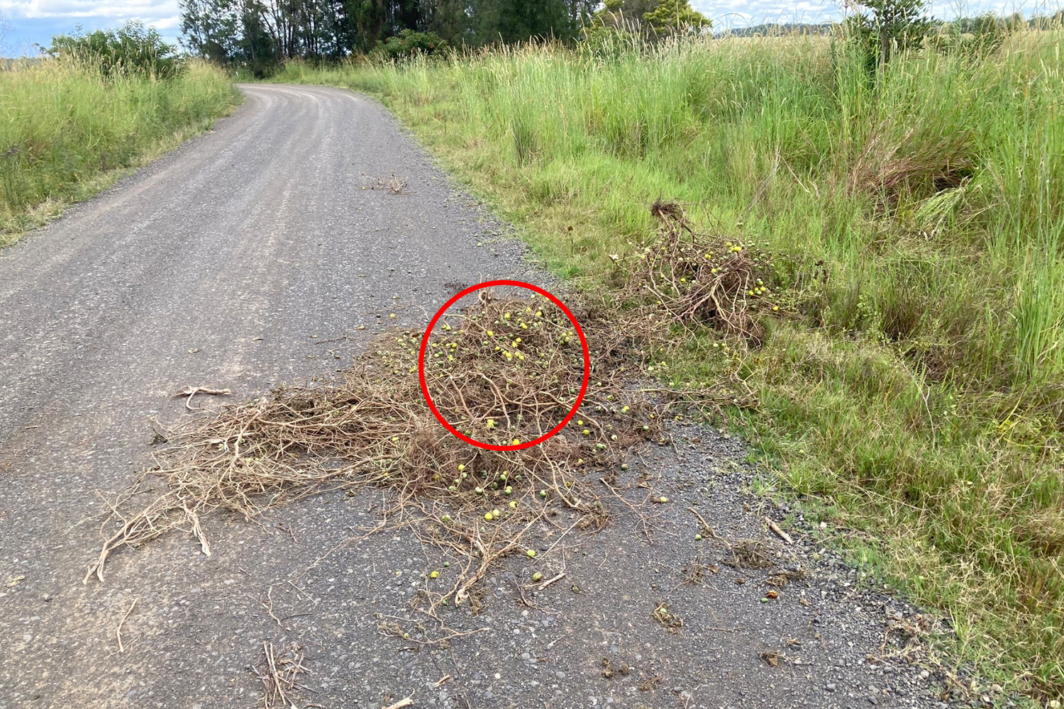 Warning to Aussies after sinister load falls off back of ute on rural ...