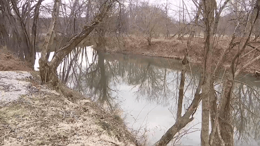 WVa. DEP steps in to oversee continued cleanup efforts of Wayne County ...