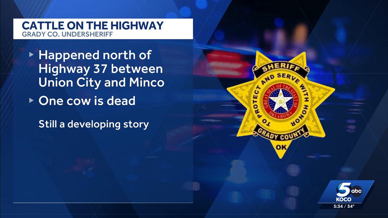 Cattle fall from semi-truck on Grady County highway