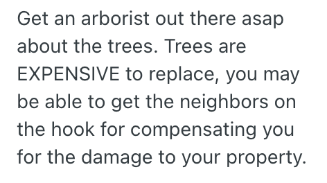 Homeowner bought a house with an empty lot, but witnessed his neighbors ...