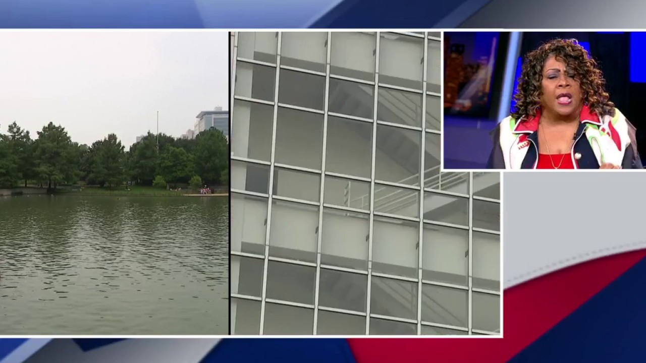 Pushback against Ben Taub expansion project | What's your point?