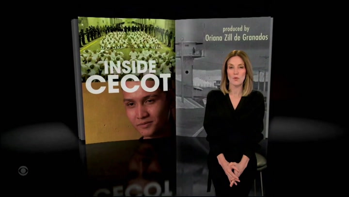 CBS boss axes '60 Minutes' vet Sharyn Alfonsi who clashed with Bari Weiss