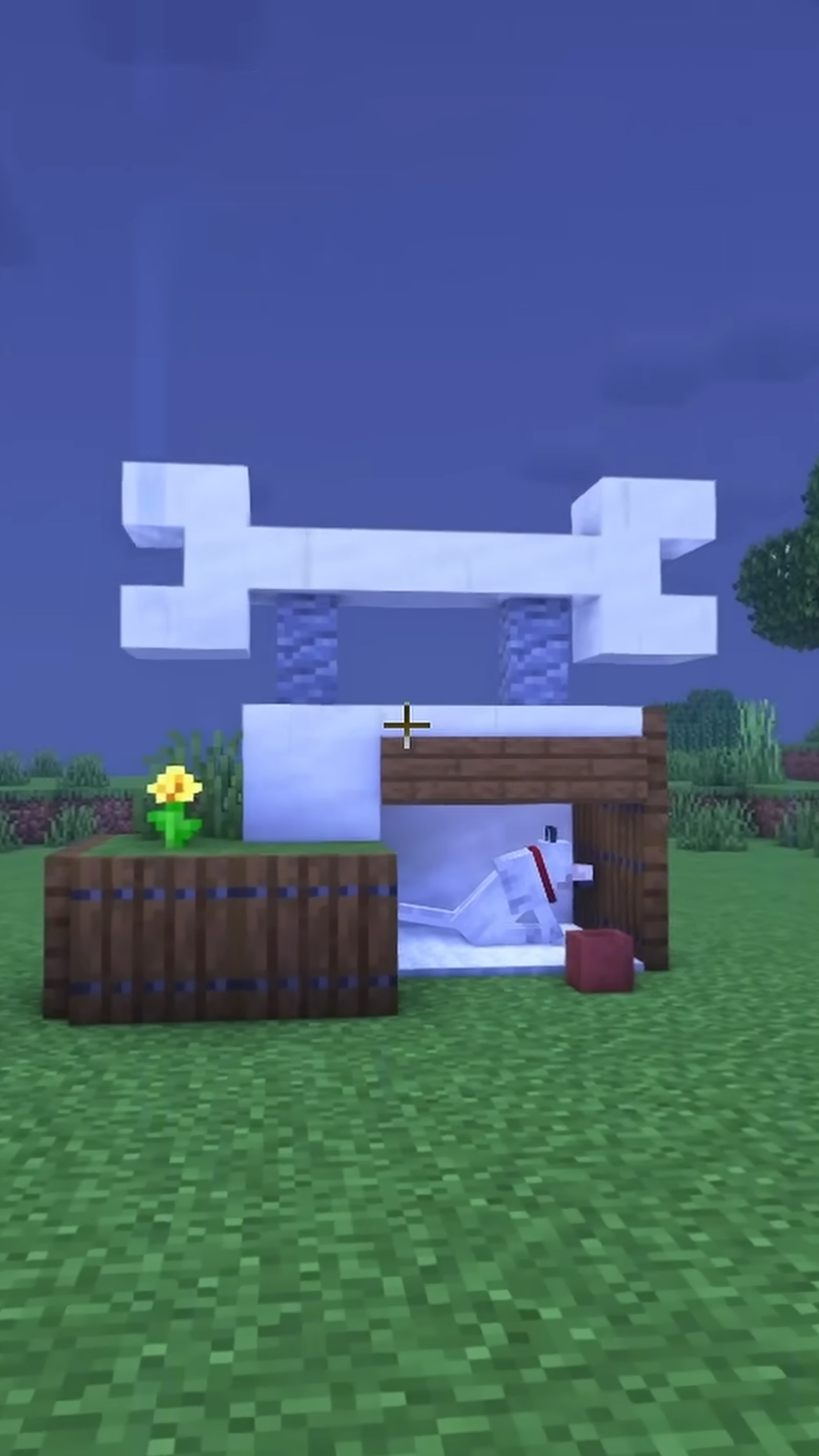 Building house for dog in Minecraft