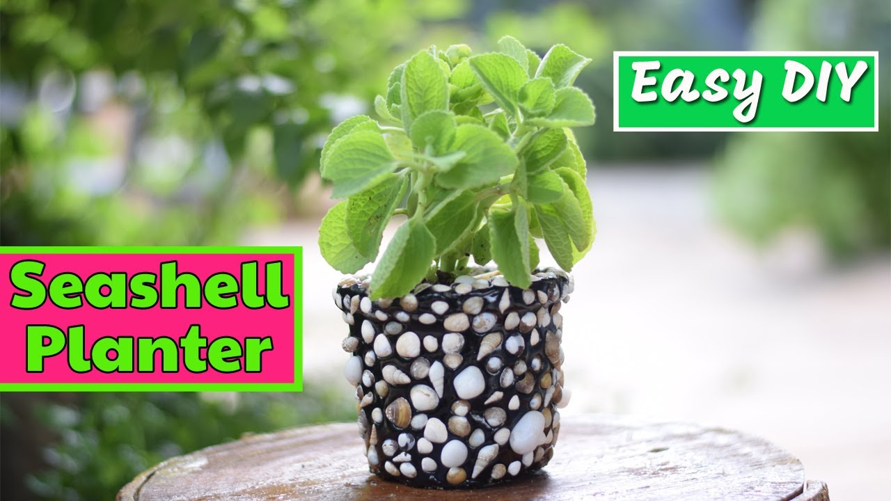 From plain to stunning: How to use seashells on planters