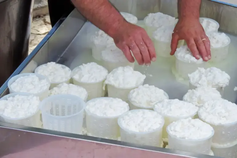Receita transforma leite em um queijo leve e versátil, ideal para o dia ...