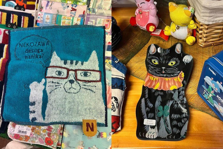 Jangan ngaku pencinta kucing kalau belum ke Yanaka Ginza, Tokyo!