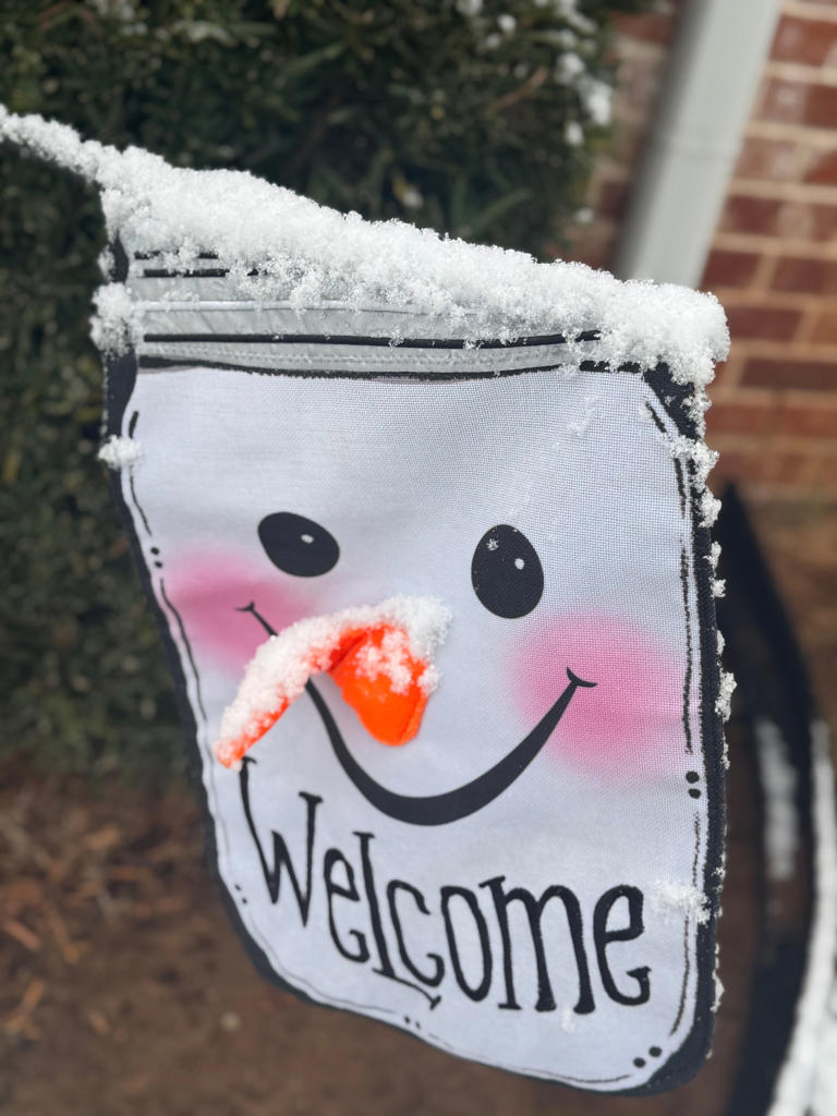 WTVY viewer view: Snowy Sunday across the Wiregrass